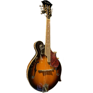 Os 4 Melhores Bandolins de 2025 - Beat360